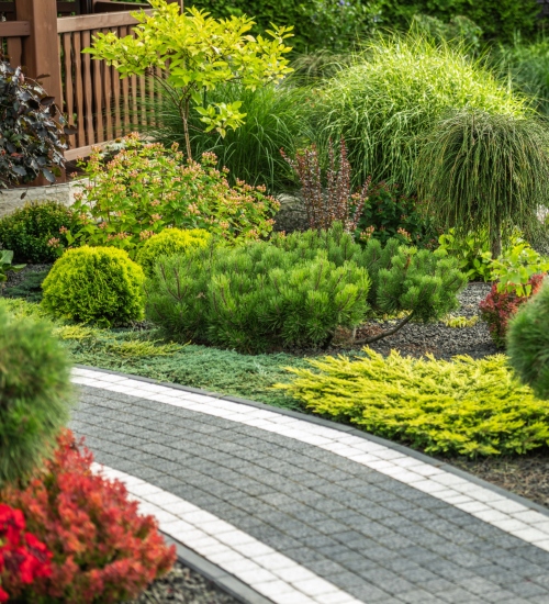 Best Landscaping Design In Sacramento, CA - Golden State Landscapers
